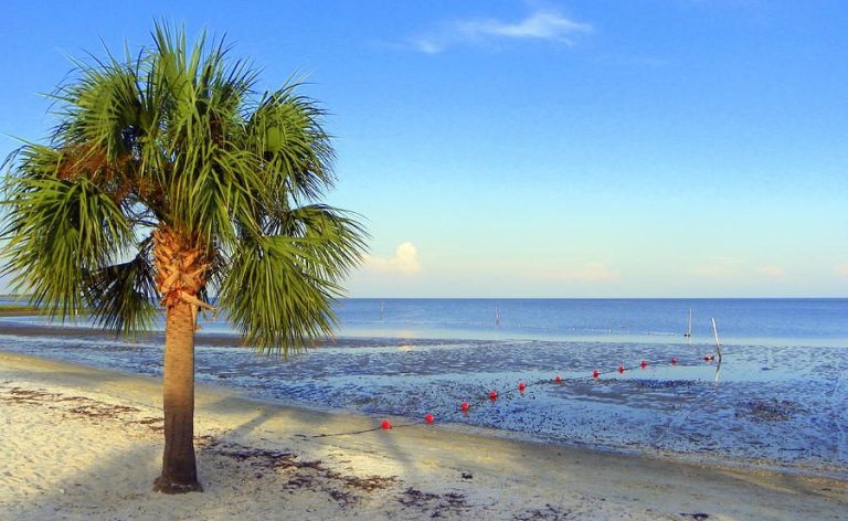 Top 6 Beaches in Cedar Key, Florida – https://guideforflorida.com