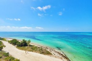 Top 6 Beaches in Cedar Key, Florida – https://guideforflorida.com