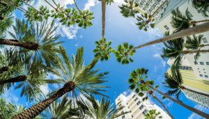 15 Things Miami Is Famous For – https://guideforflorida.com