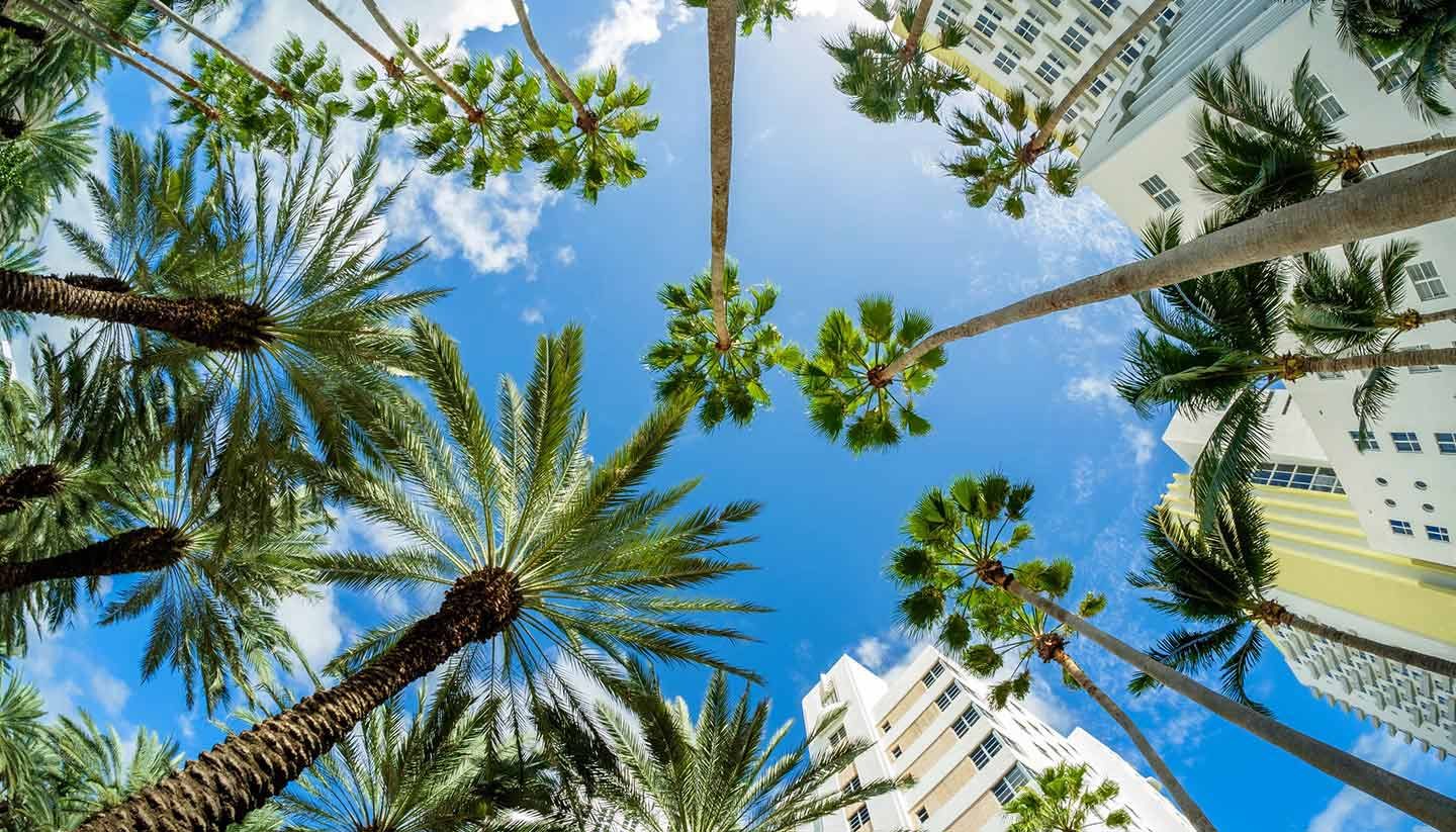15 Things Miami Is Famous For – https://guideforflorida.com