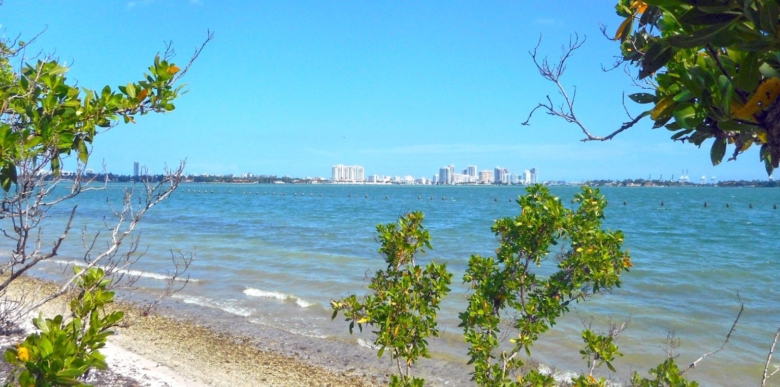 19 Islands In Miami Florida