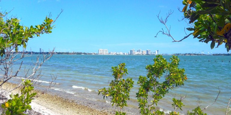 19 Islands In Miami Florida