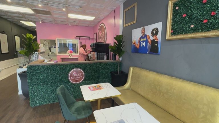 11 Ice Cream Shops In Tampa Florida