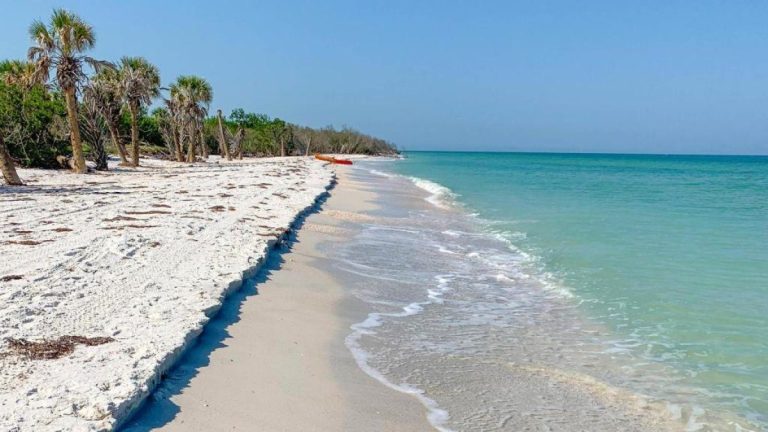 7 Pink Sand Beaches in Florida