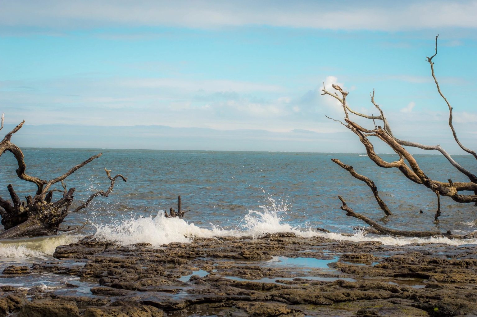 8 Rocky Beaches in Florida – https://guideforflorida.com