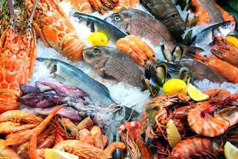 11 Seafood Markets In Tampa Florida – https://guideforflorida.com