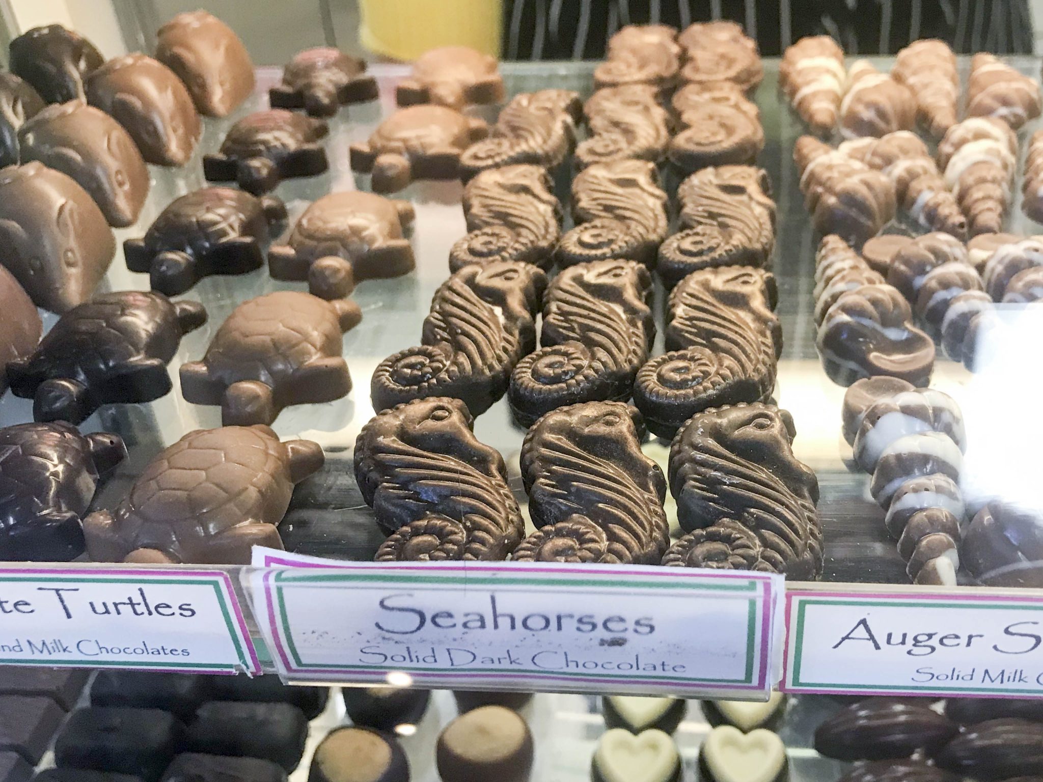 13 Chocolate Shops In Tampa Florida – https://guideforflorida.com