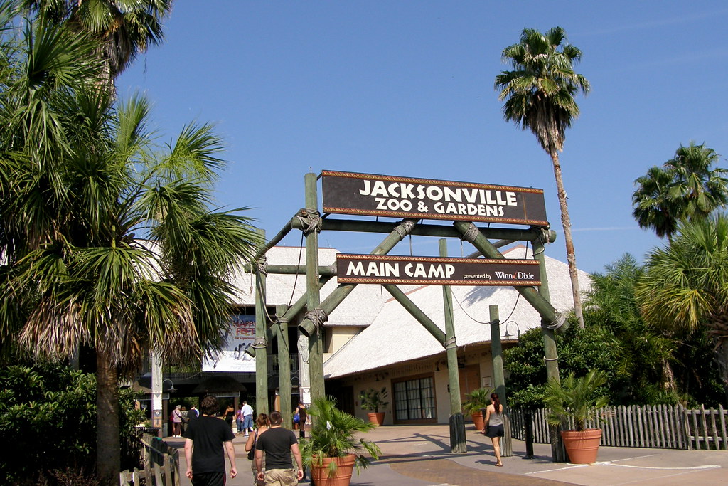Jacksonville Zoo & Gardens: A-Z Guide for First-Time – https ...